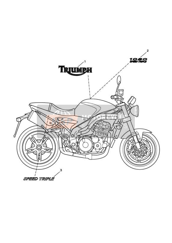 T2304289 Decal, Rear, Side, Lh Part Triumph - MSP